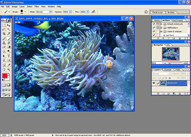 Xseeerede2012 How To Edit Image In Photoshop 7 0